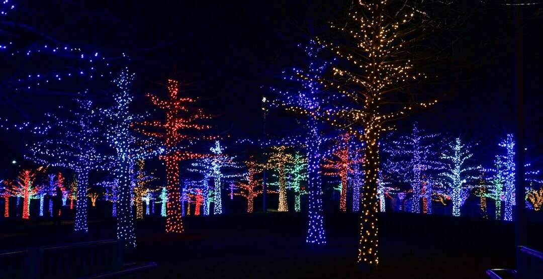 The Most Wonderful Time Of The Year: Things To Do In Boulder, Colorado ...
