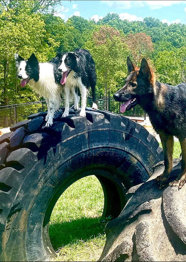 Pinnacle Place | Apartments In Waynesville, MO