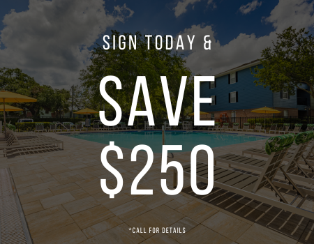 Reflections | Apartments In Tampa, FL