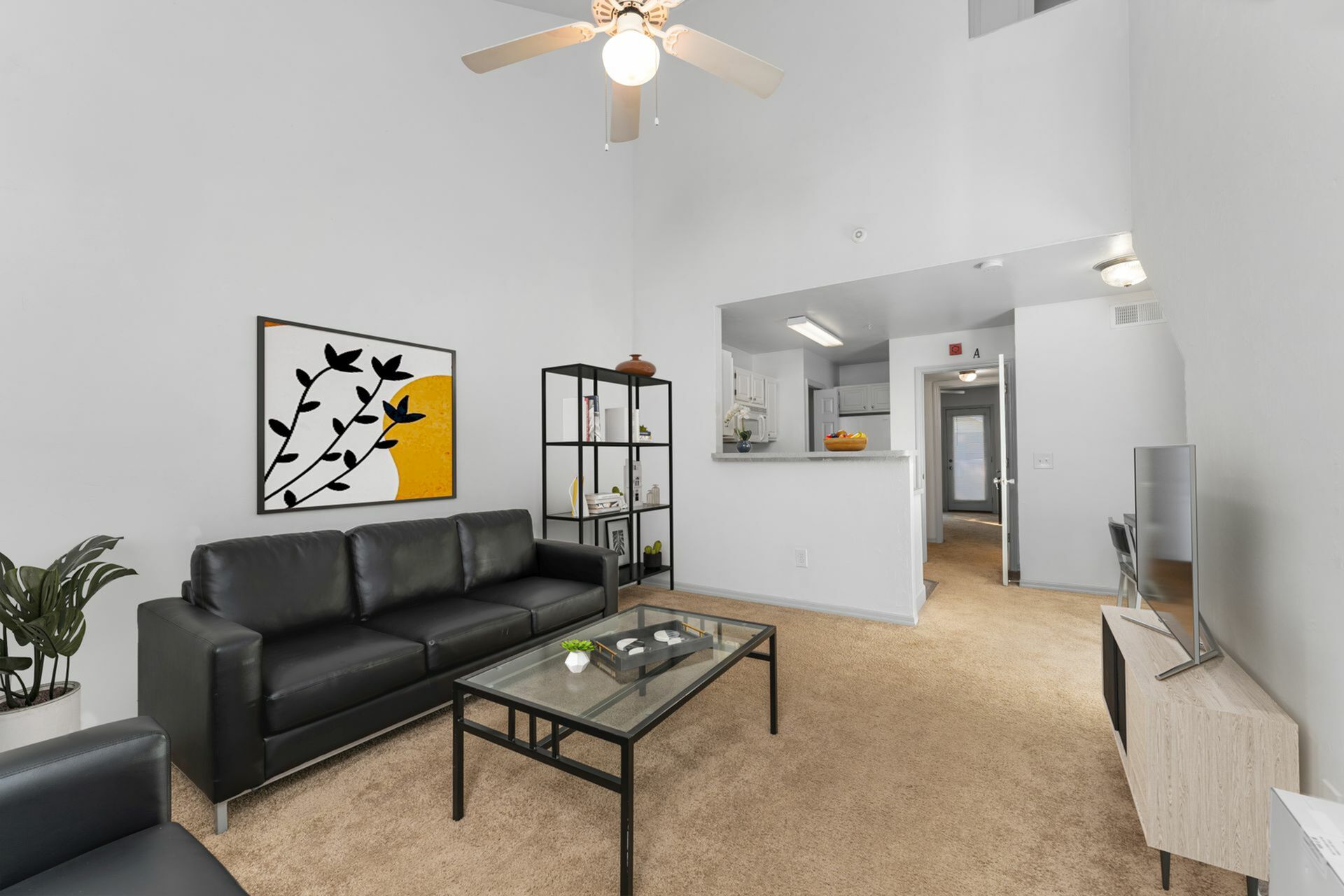 Amenities & Features | Museum Walk | Gainesville Student Apartments