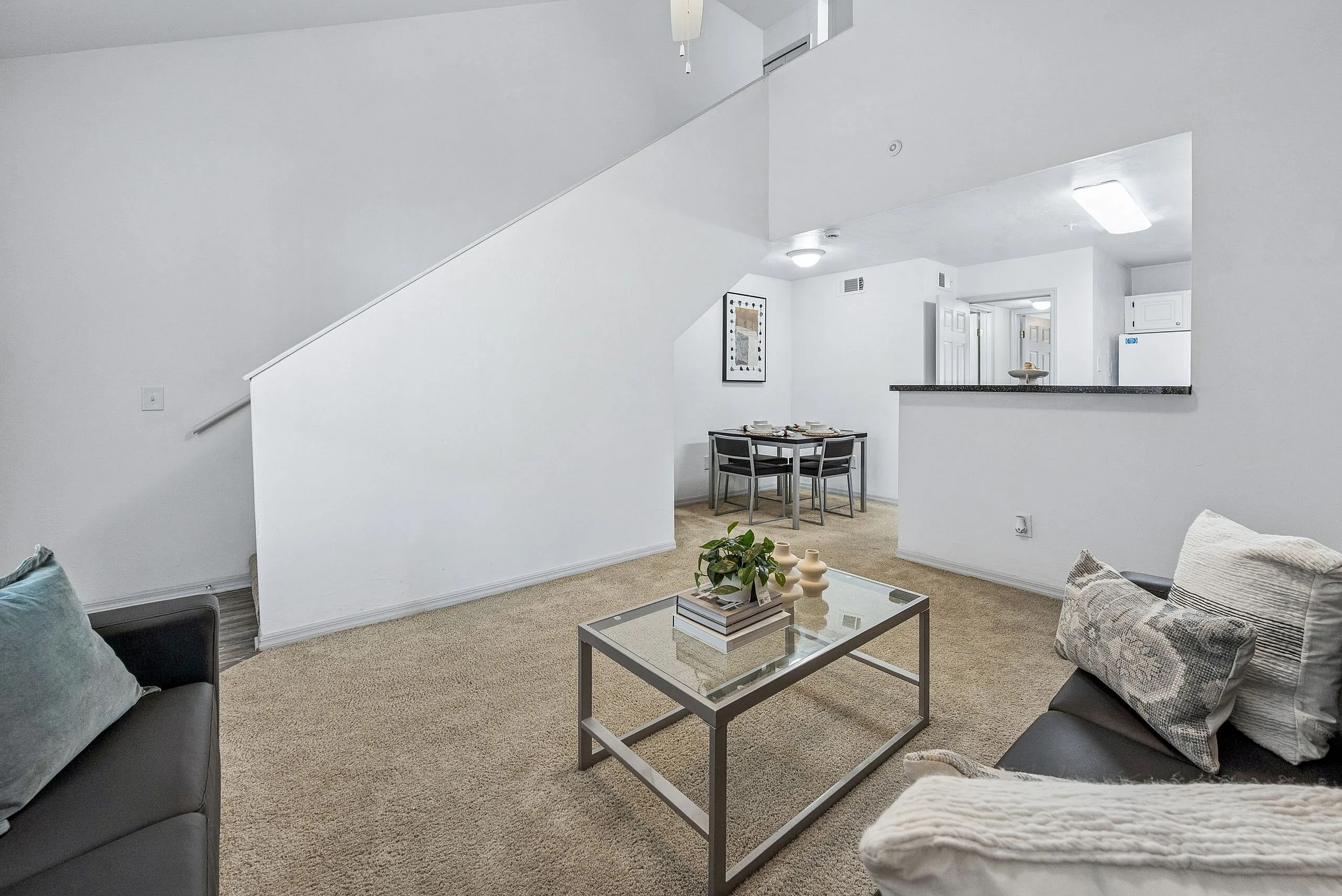 Photo Gallery | Museum Walk | Gainesville Student Apartments