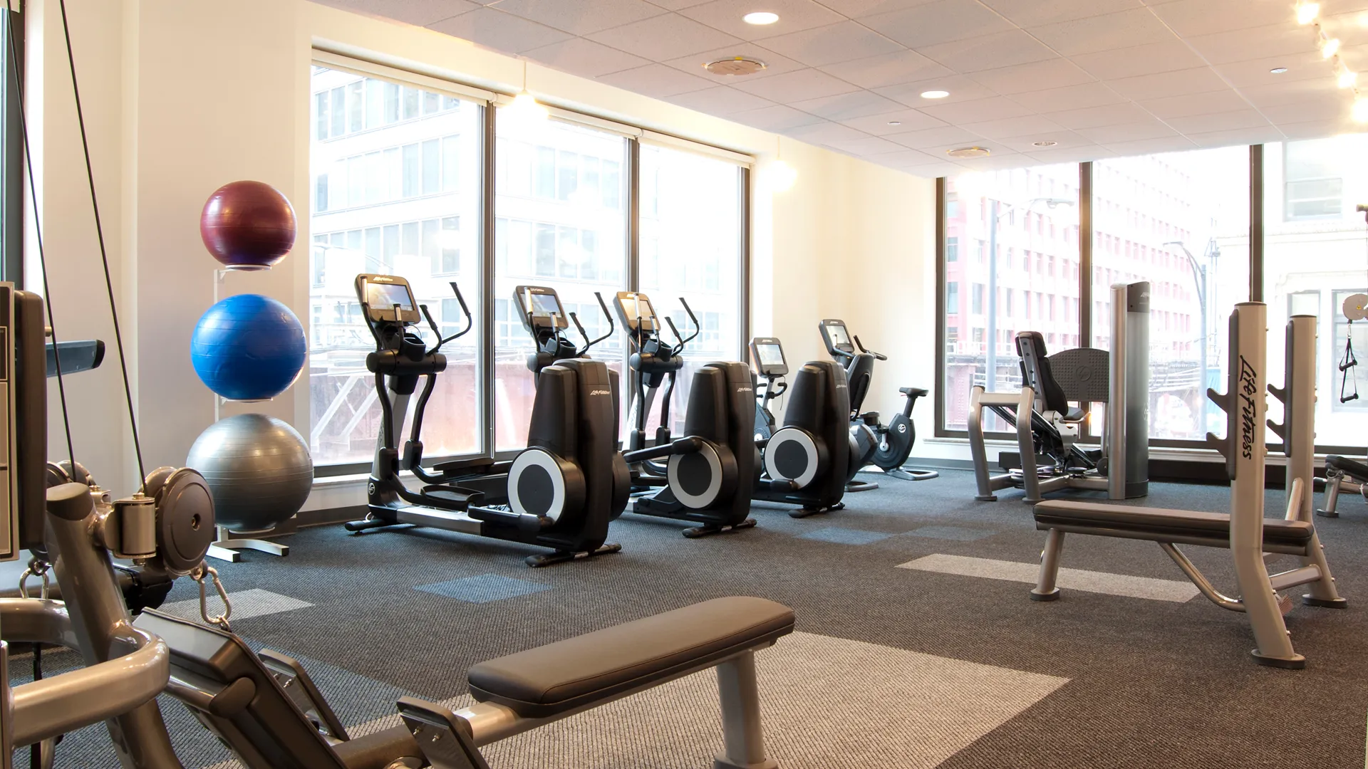 Apartments in Chicago, IL | Downtown Chicago Student Housing | Infinite