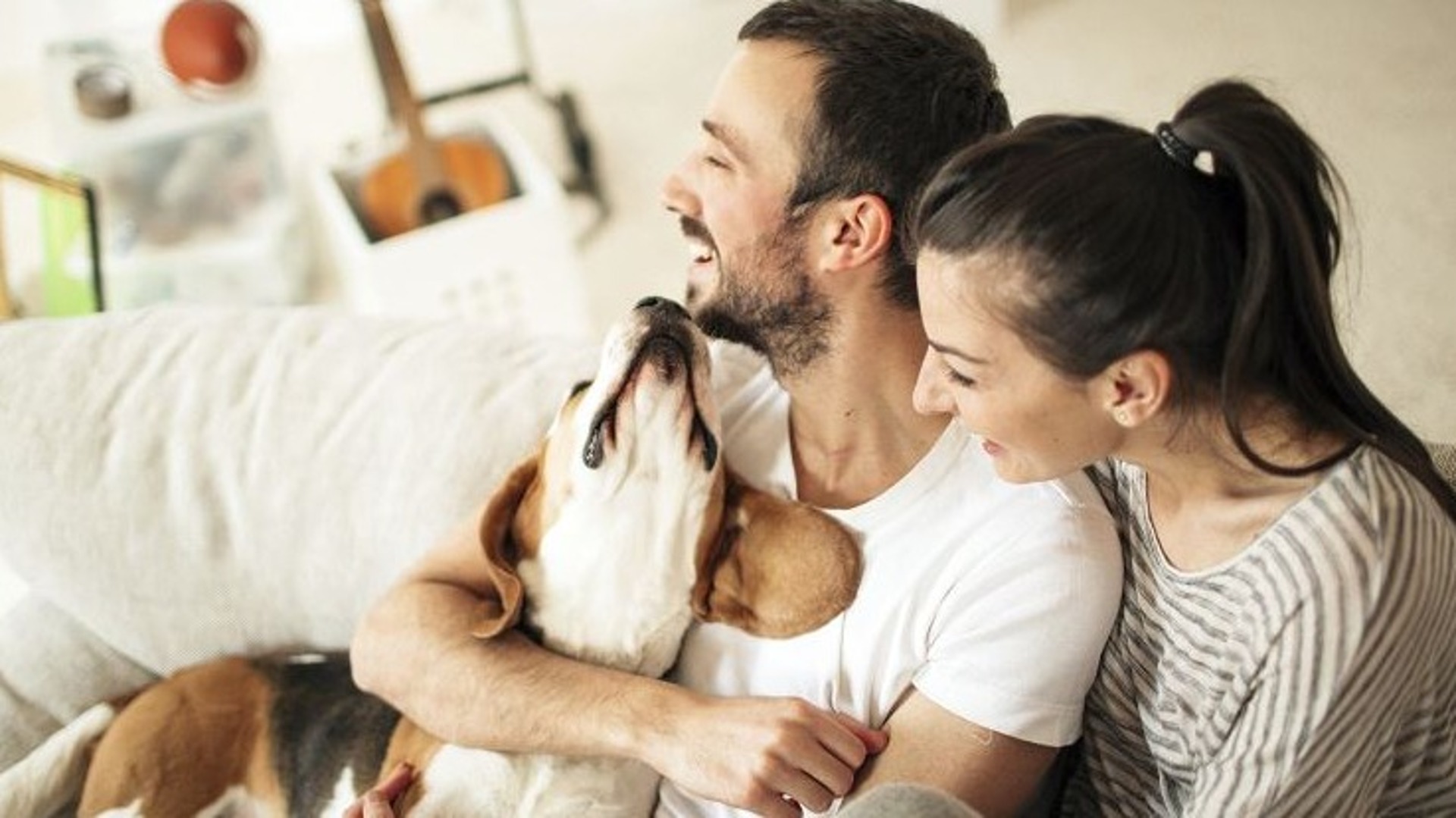 Concord Square Apartments