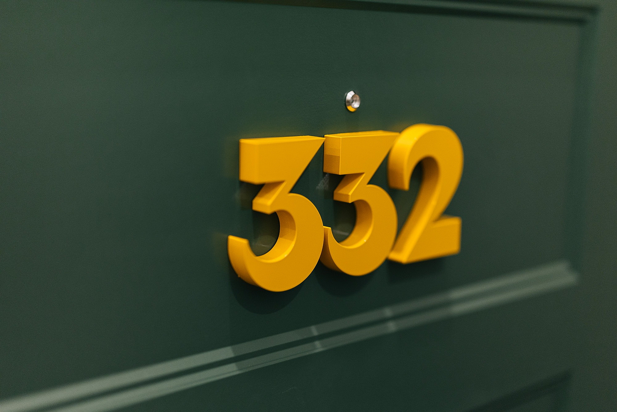 View Photos & Take A Virtual Tour | Dizzy Mule