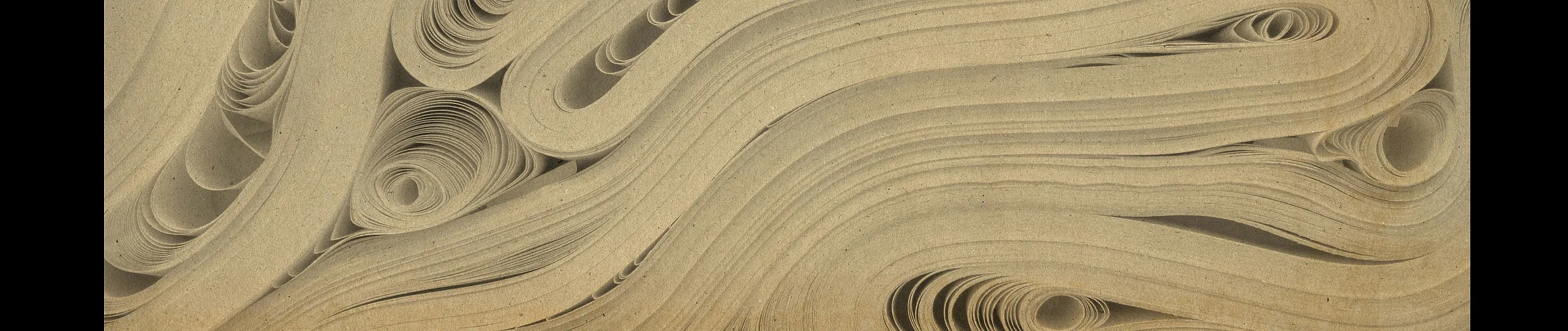 Dizzy Mule Apartment Rentals