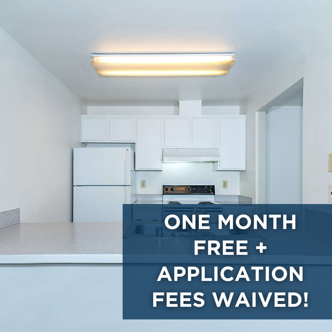 2 Bed Apartments - Check Availability | Juniper Row