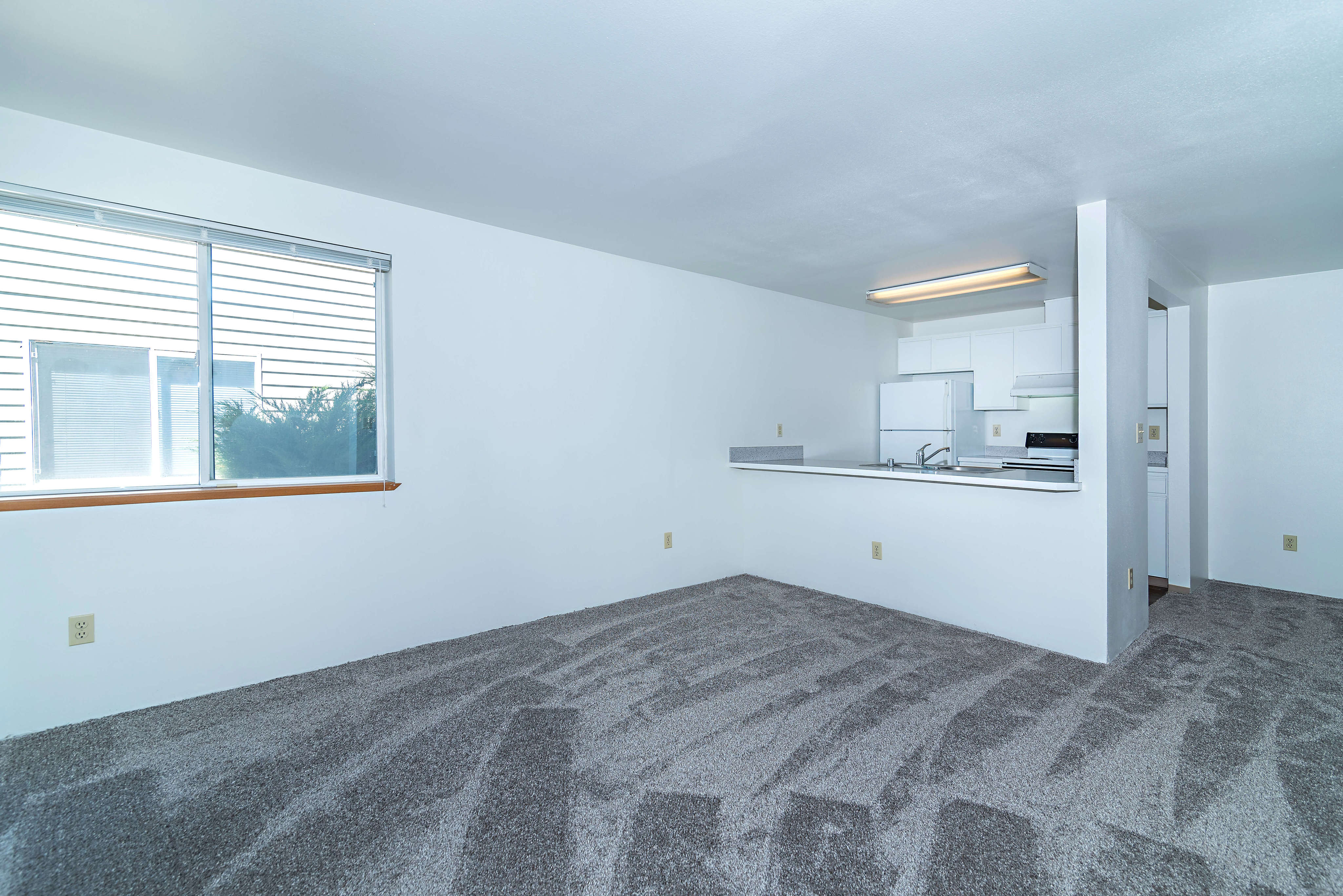 2x1R | 2 Bed Apartment | Juniper Row