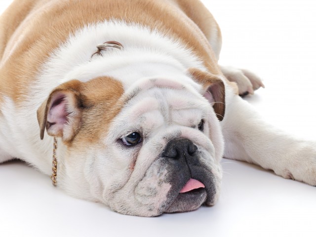 View Photos | Triton Heights