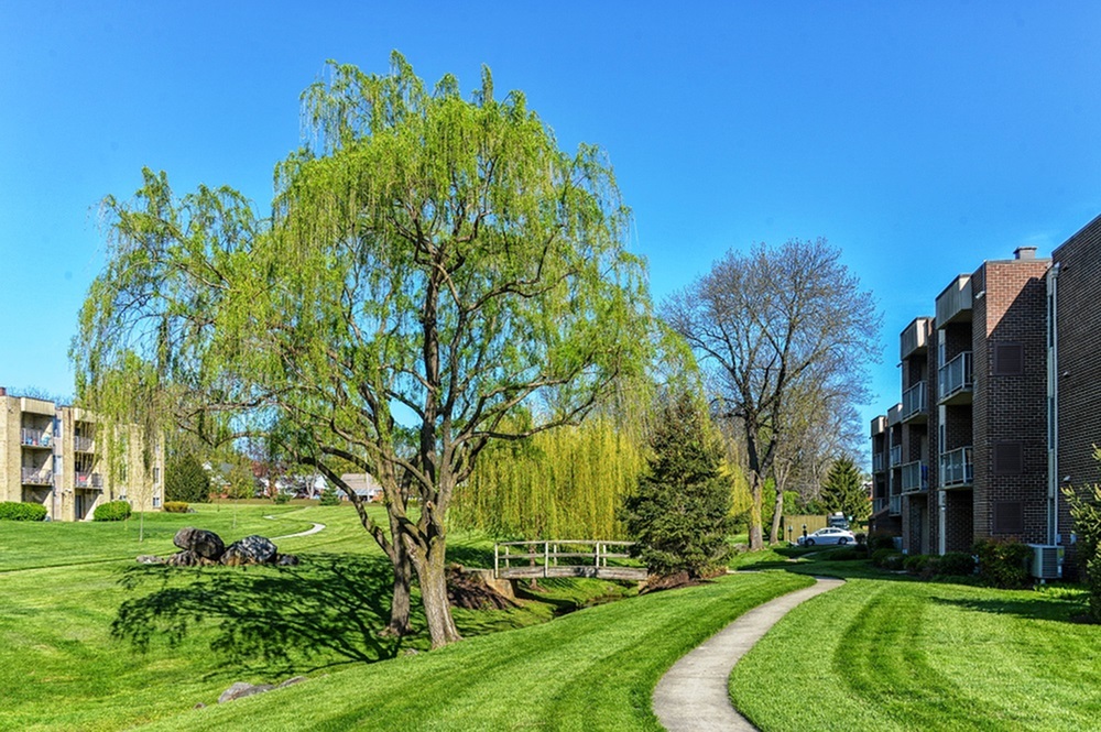 View Photos | Brookstone