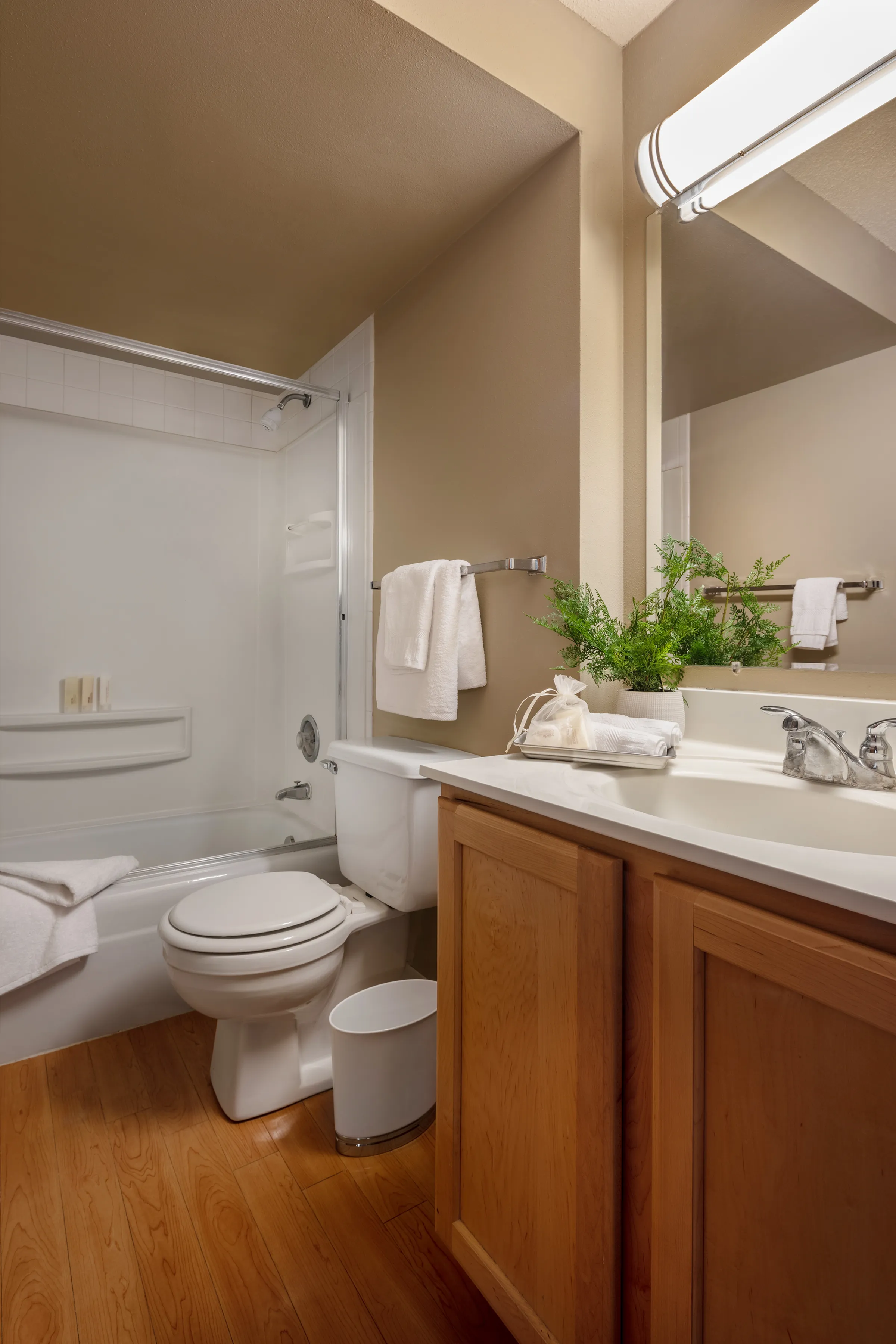 1 Bed Apartments - Check Availability | Birge House