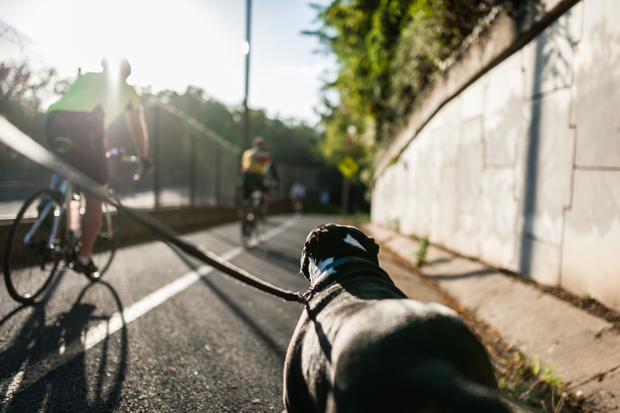 Photos | Modera Old Ivy | Best Apartments In Atlanta