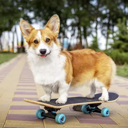 Modera Creative Village Apartments Orlando | Official Site