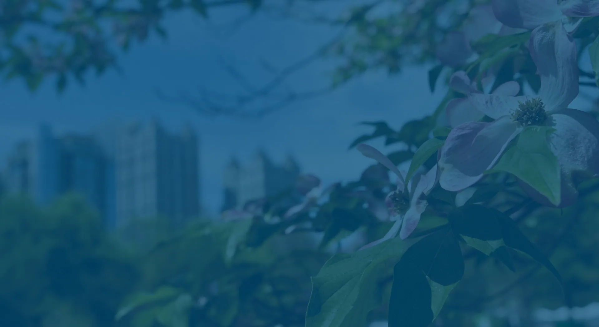 Modera Parkside: Midtown Atlanta Apartments | Official Site