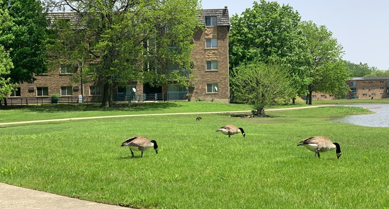 View Sunset Lake Apartments in Justice, IL | Official Site