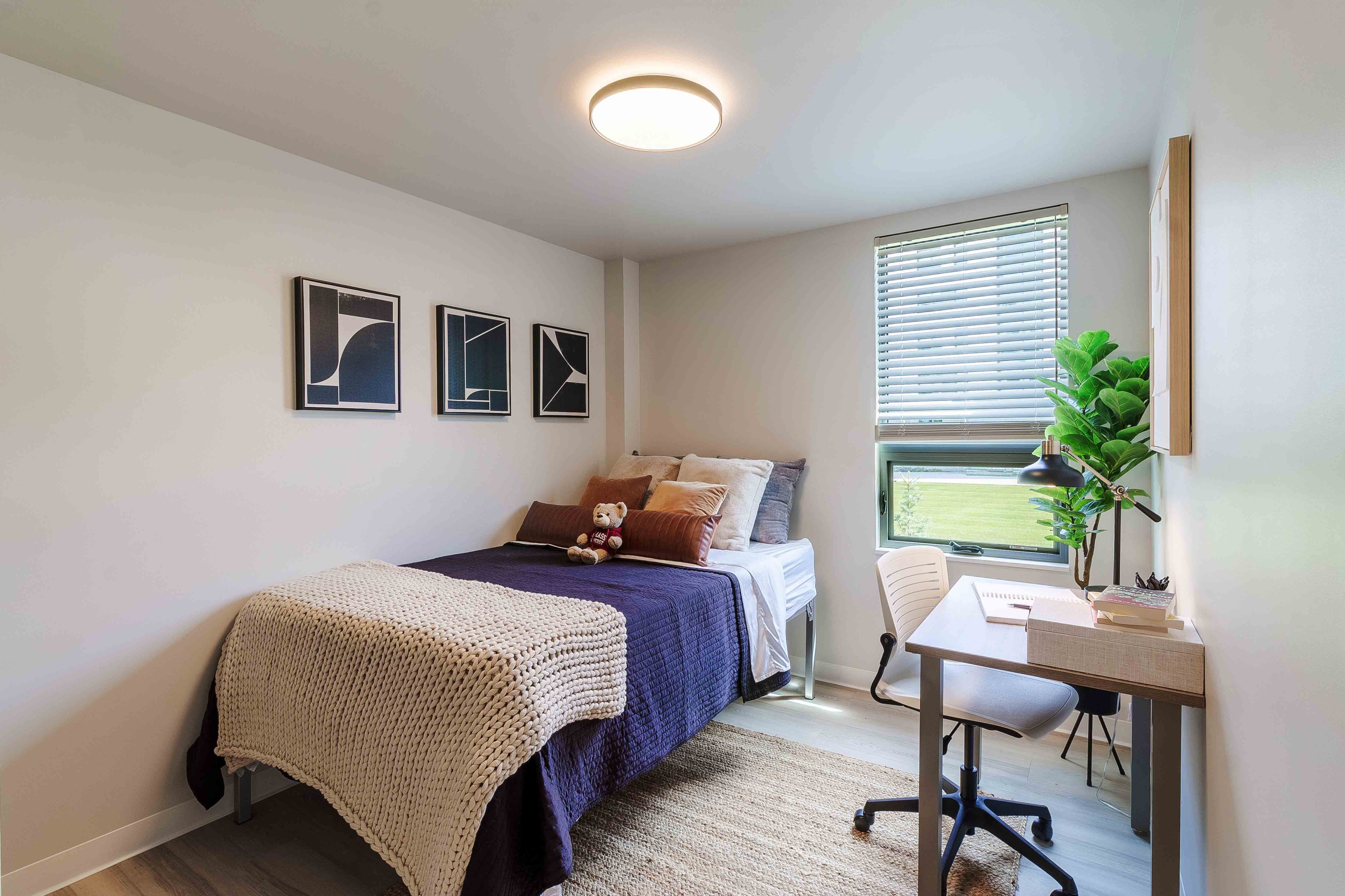 View Photos & Take A Virtual Tour | Fieldstone - Slate Undergraduate ...