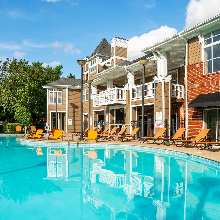 Pet Friendly Bellevue Apartments For Rent | Avana Lexington