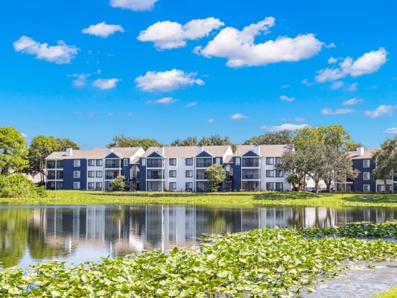 Map | Apartments Near Safety Harbor, FL | Avana Lakeview