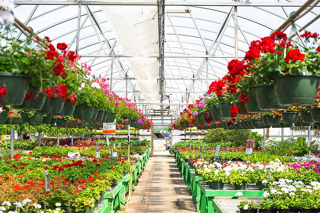 View Photos | Ltd. Findlay