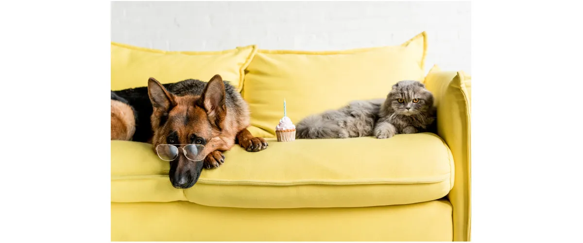 GRT Property Management, Inc.