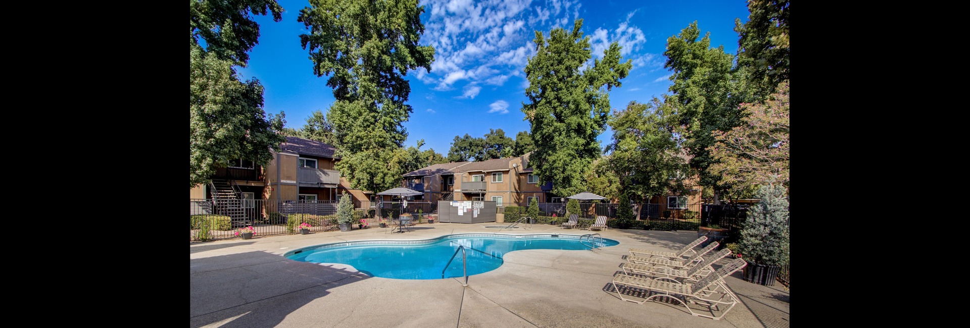 Gold Ridge Apartments | Pool, Gym, and More