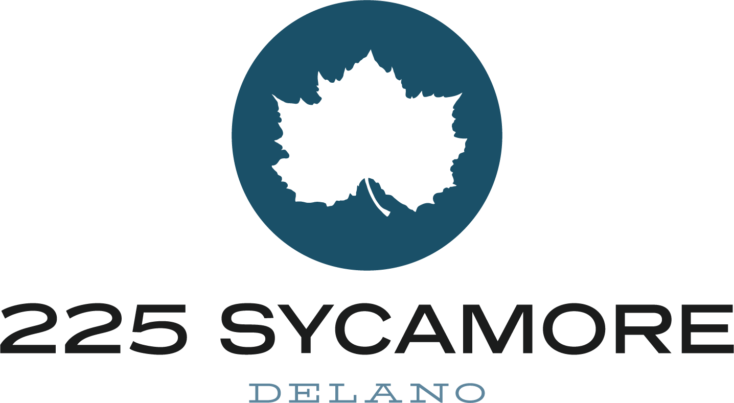 Studio - 4 Bed Apartments - Check Availability | 225 Sycamore