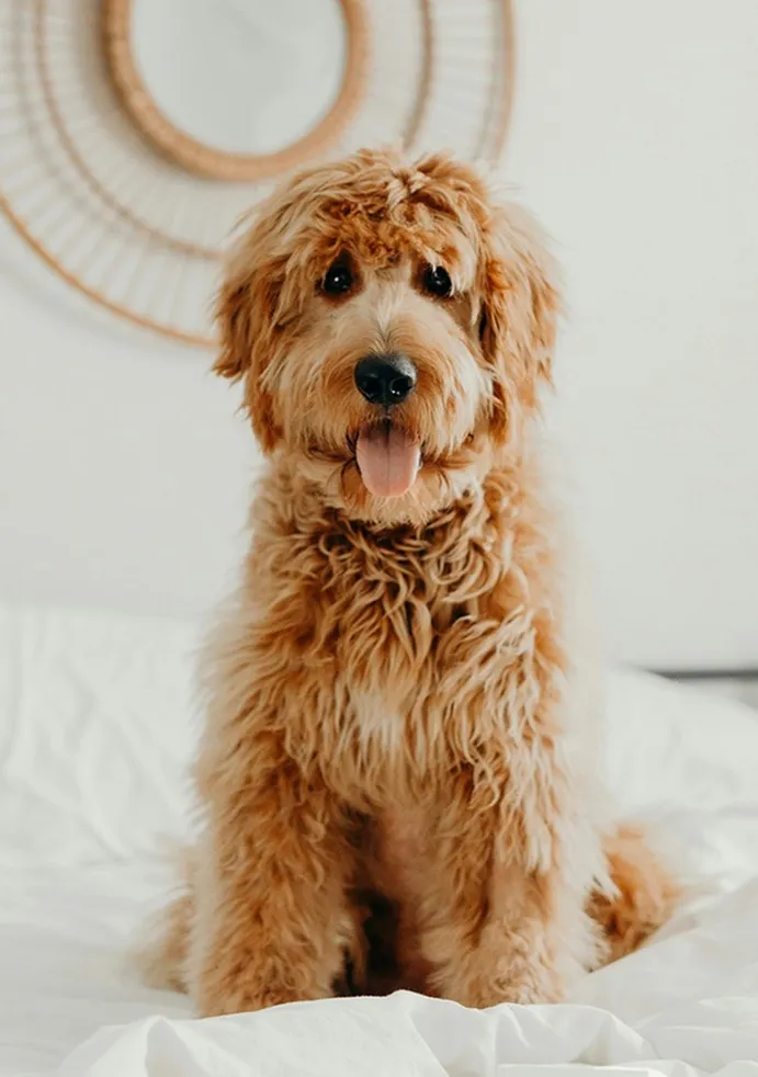 Mansions Eight65 | Apartments In Hutto, TX