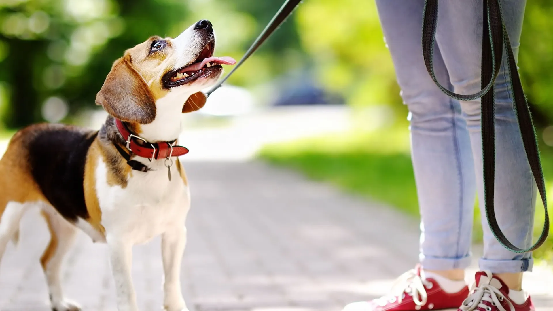 Imperial Pointe | Apartments In Nicholasville, KY