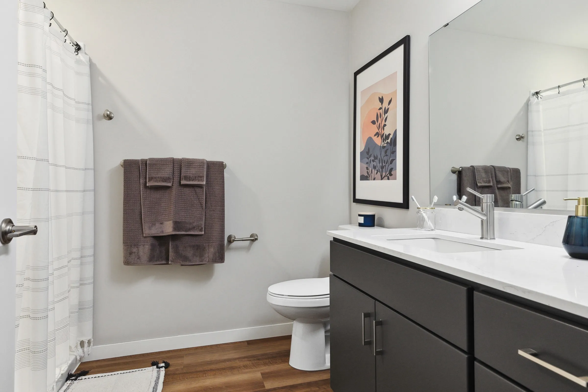 View Photos & Take A Virtual Tour | The Eddi