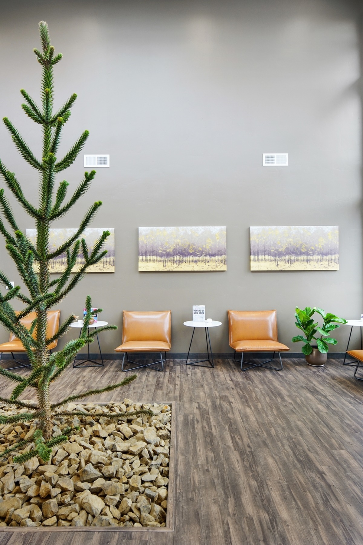 View Photos & Take A Virtual Tour | Bella Tess