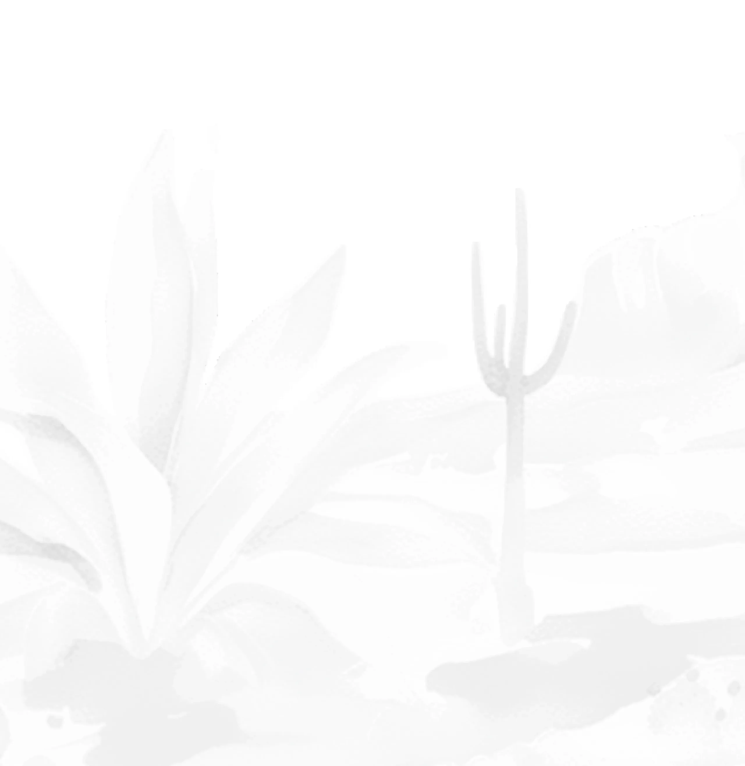 Agave Ranch | Apartments In Glendale, AZ