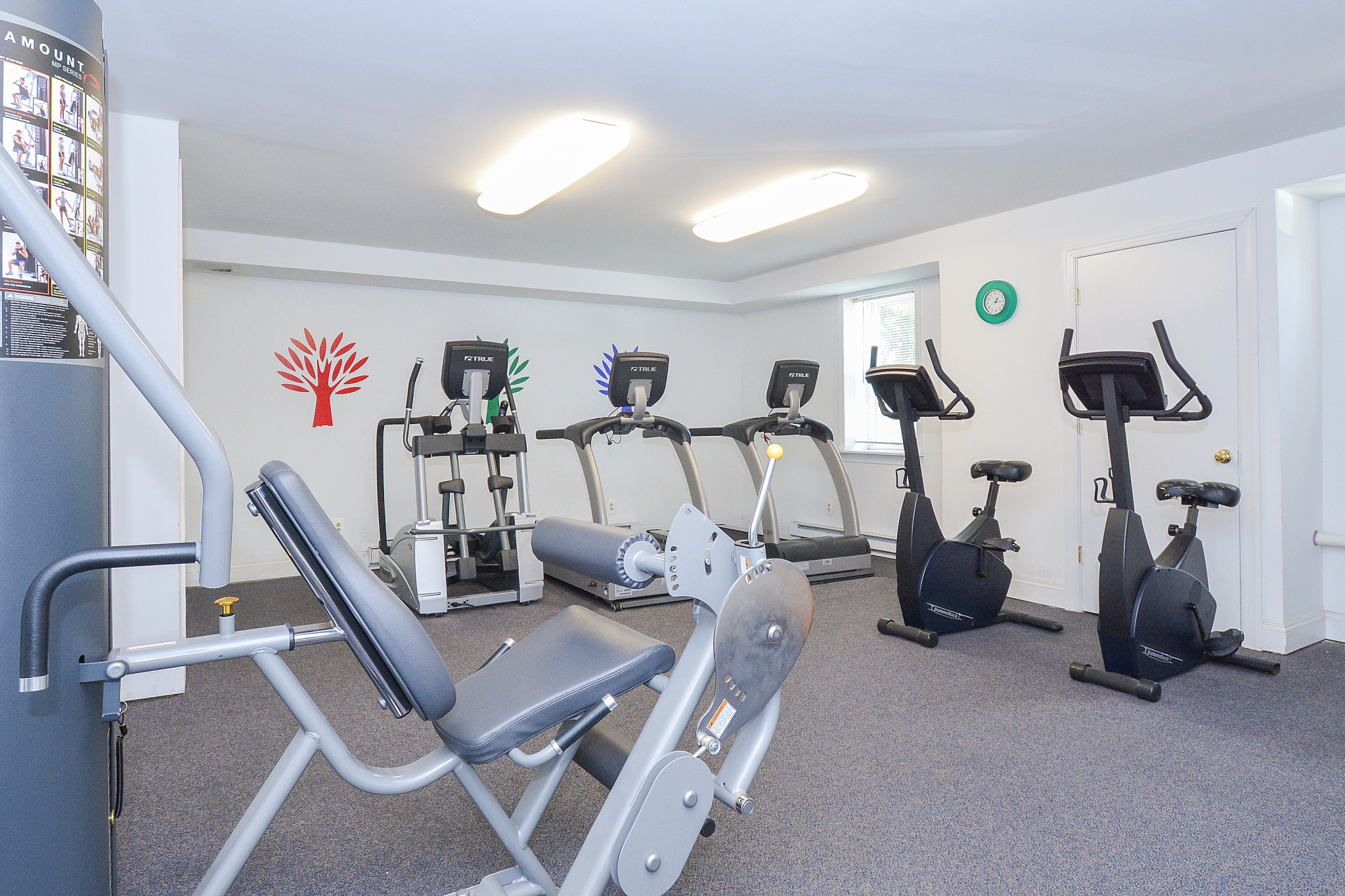 Apartments in Wilmington | Amenities at Cedar Tree Apartments