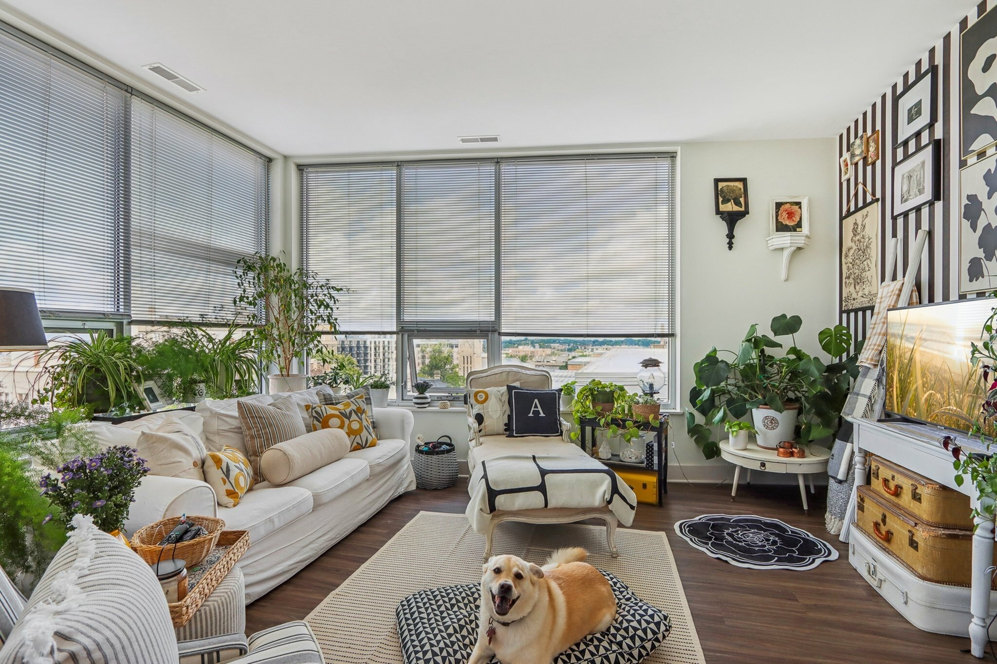 View Photos & Take A Virtual Tour | City Green Apartments