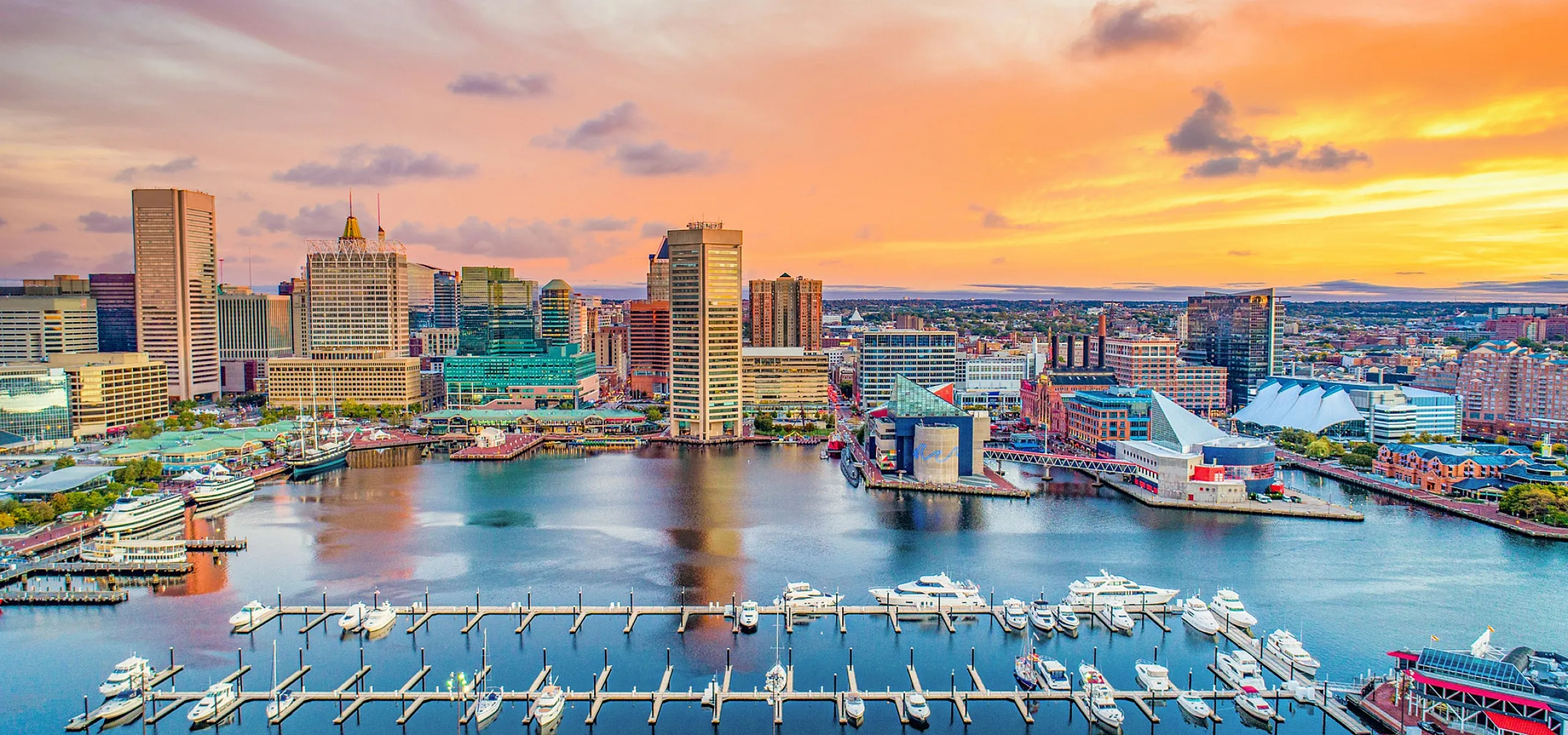 The Zenith | Apartments In Baltimore, MD