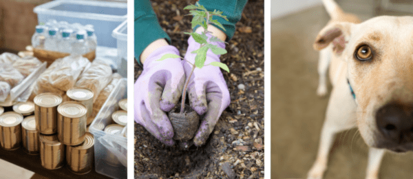 3 Meaningful Ways to Give Back to Your Atlanta Community This MLK Day