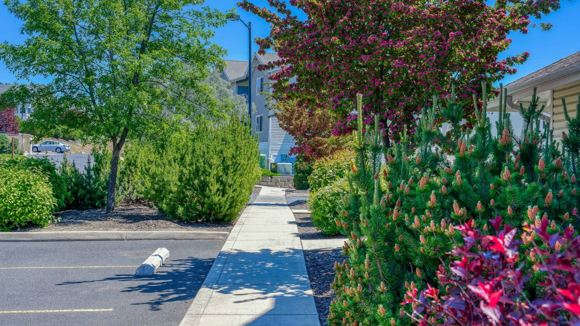 Emerald Downs Apartments | Apartments In Pullman, WA