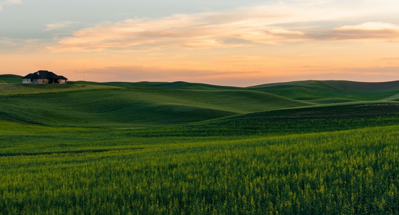 Clay Court Duplex | Apartments In Pullman, WA