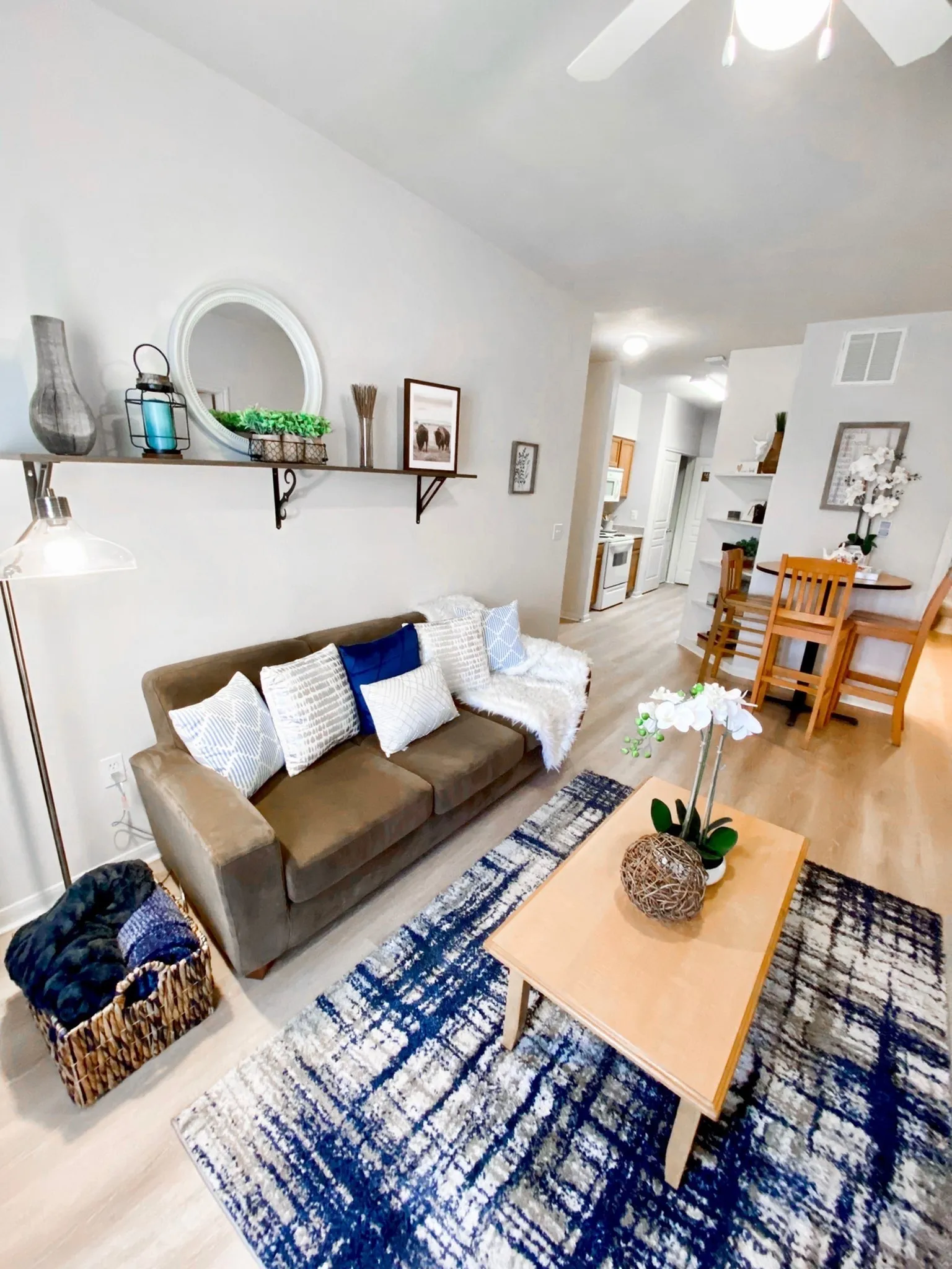 View Photos | Torres Evolution Canyon