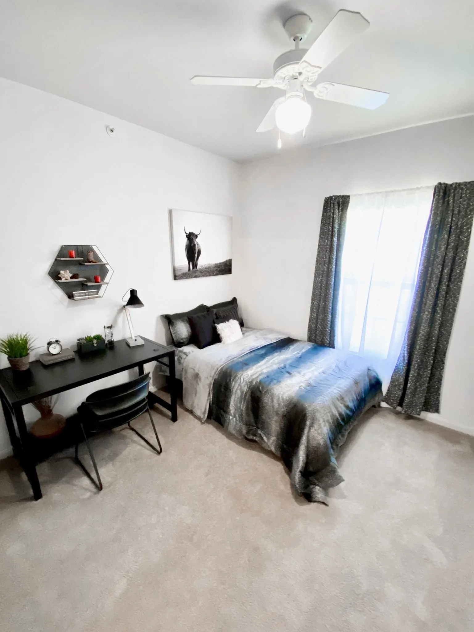 View Photos | Torres Evolution Canyon