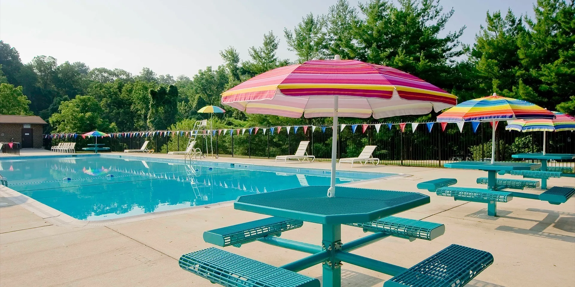 View Photos | Plum Tree Apartments