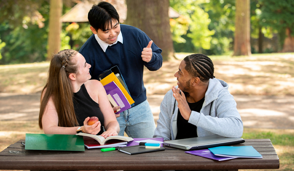 Moving to Hamilton: Essential tips for international students