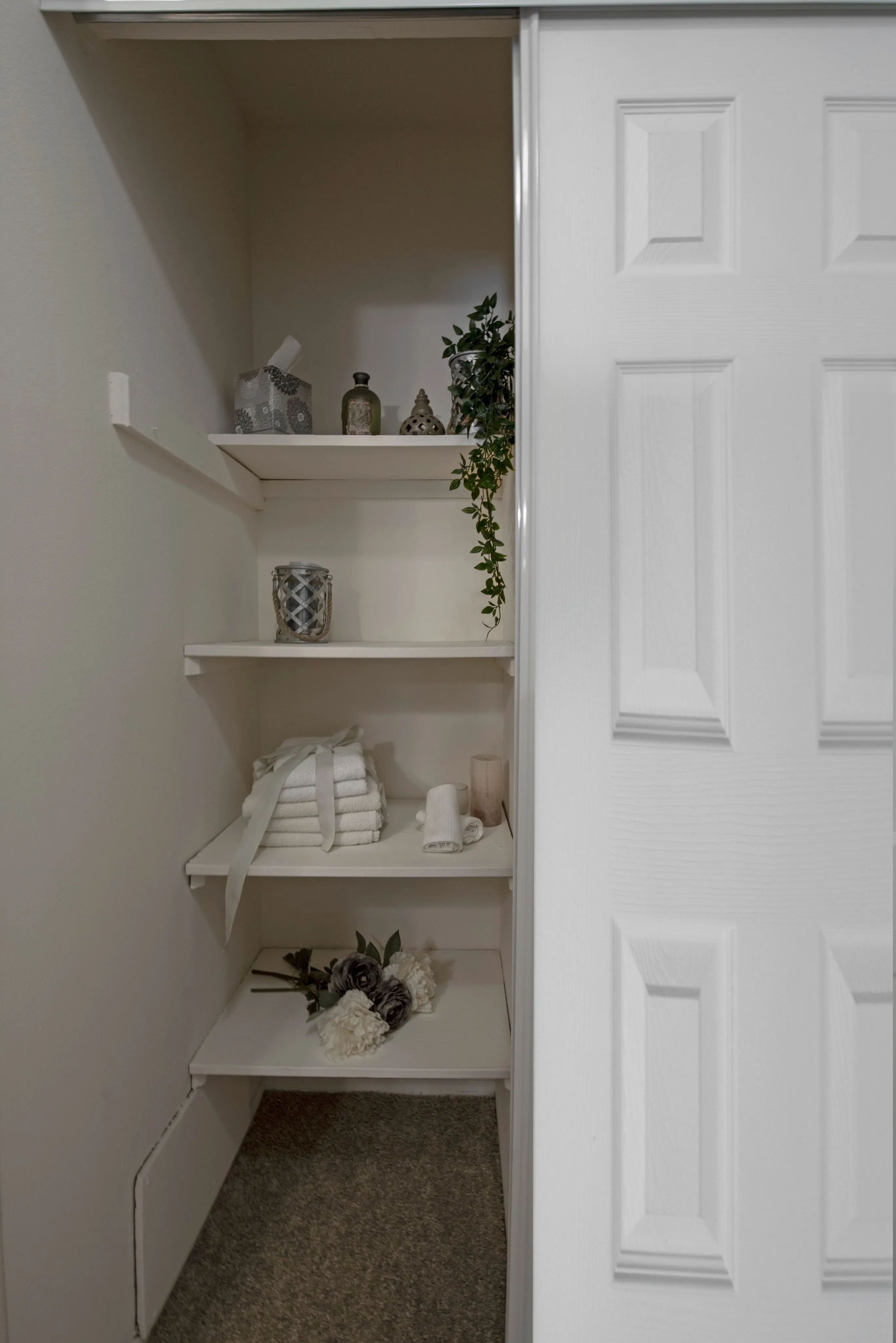 View Photos & Take A Virtual Tour | Timber Ridge Apartments