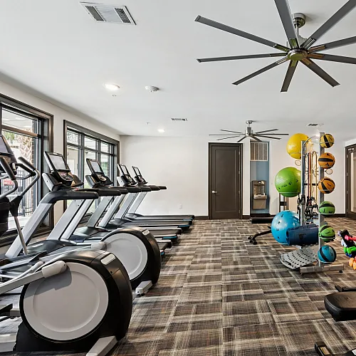 Delaneaux | Apartments In New Orleans, LA