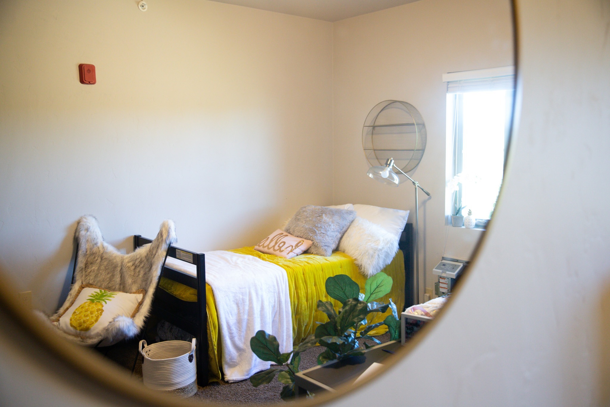 View Photos & Take A Virtual Tour | Timberwolf Suites Student ...