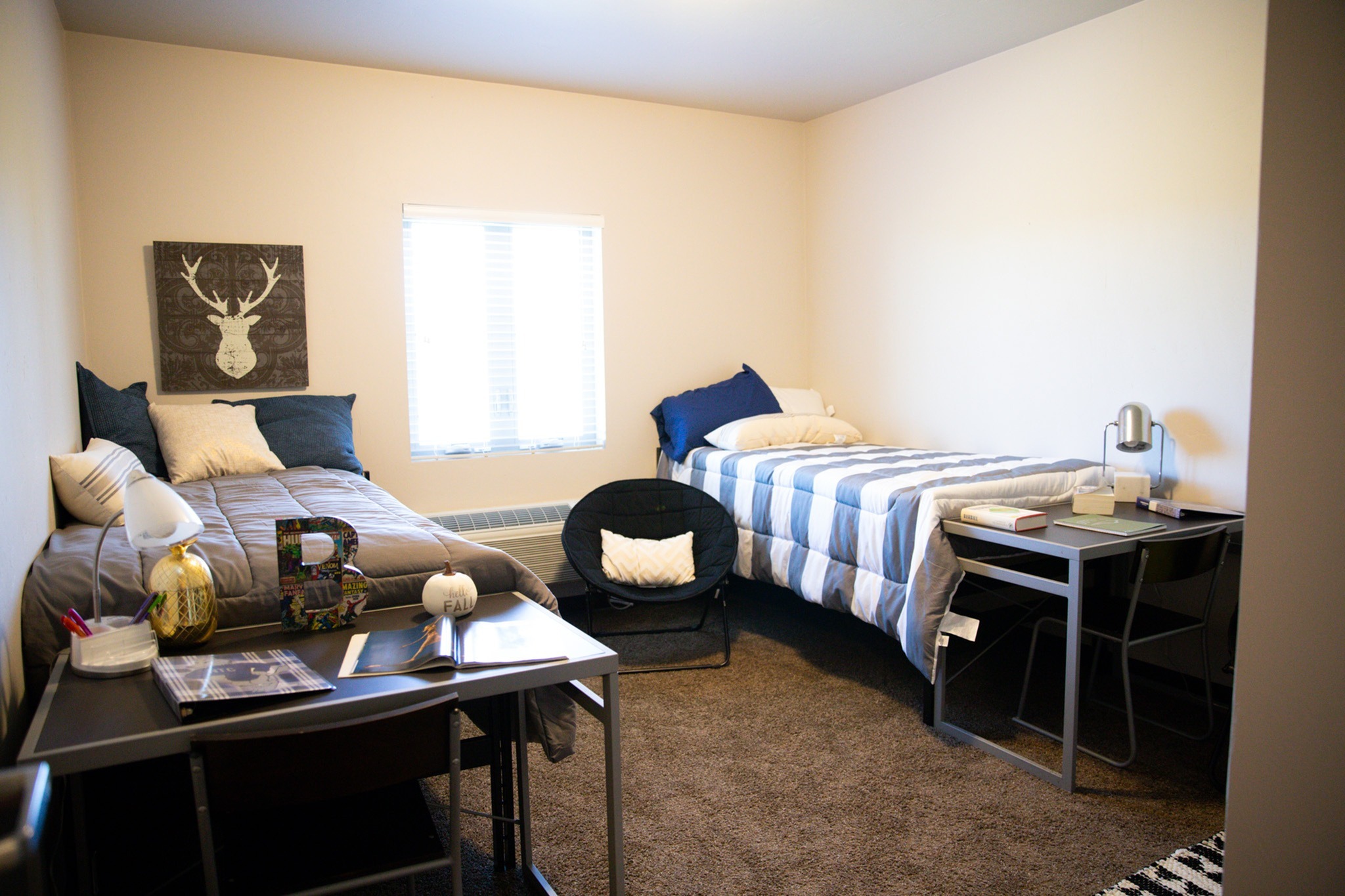 View Photos & Take A Virtual Tour | Timberwolf Suites Student ...