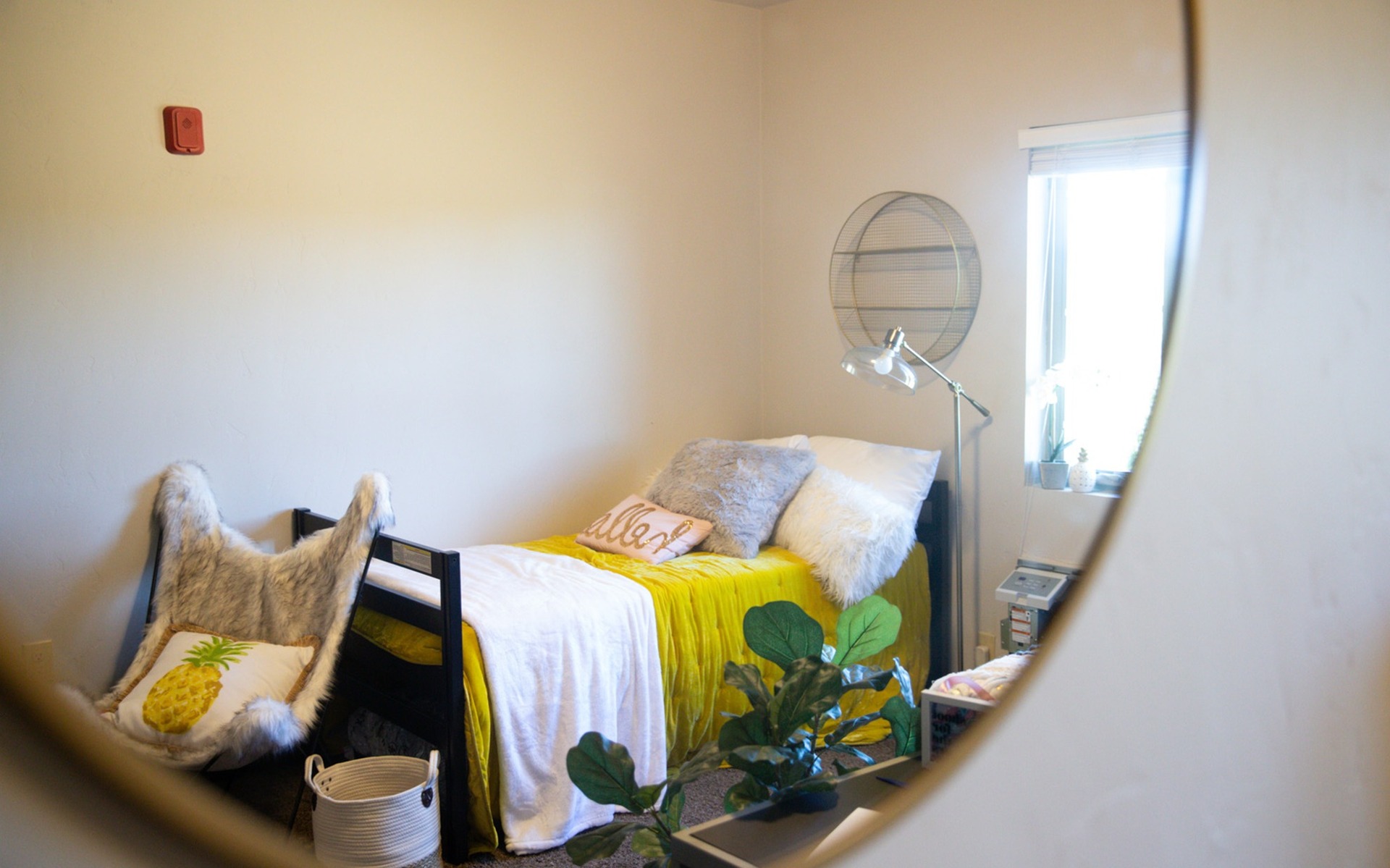 Timberwolf Suites | Student Living