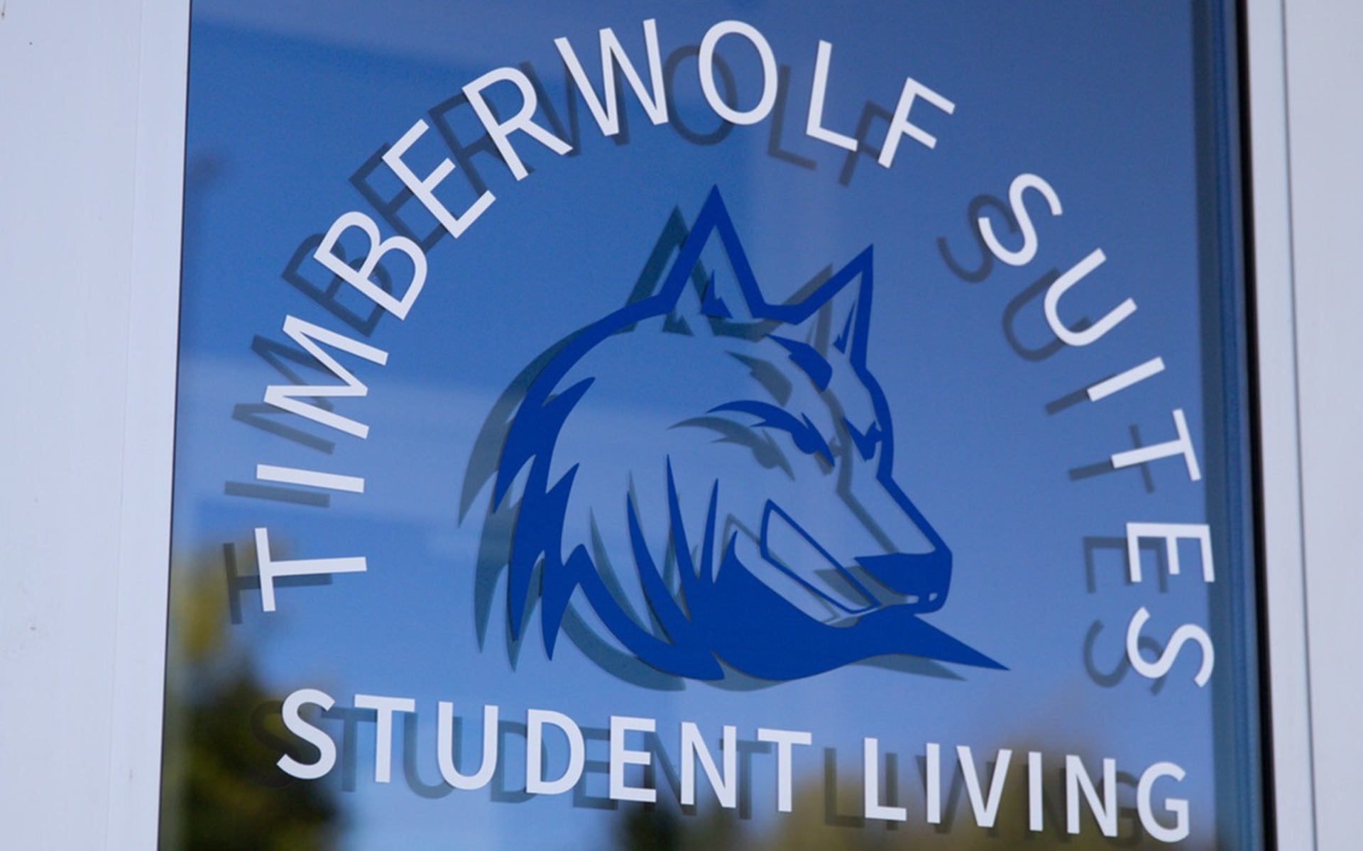 Timberwolf Suites | Student Living