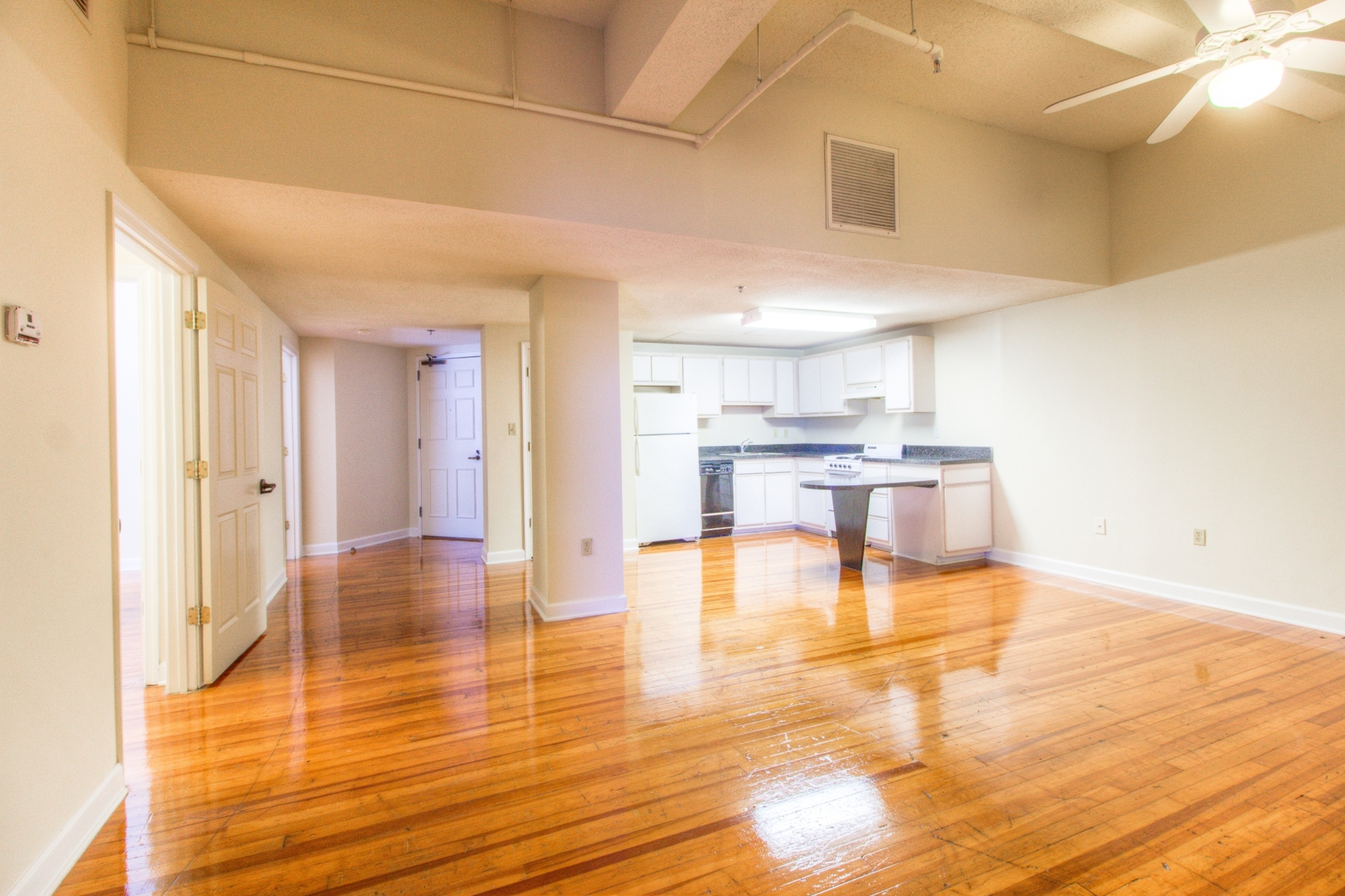 Downtown Apartments Richmond VA | Sydnor Flats