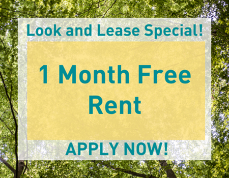 Pinnacle Mountain View | Apartments In Clearfield, UT | Clearfield ...