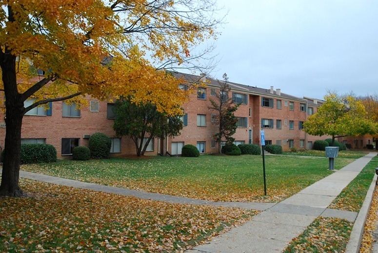 View Our Amenities | ReNew Springfield