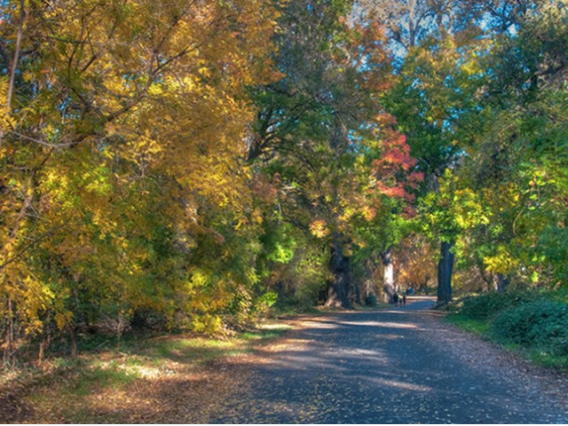 Off-Campus Apartments in Chico CA | Location | The Social Chico Dorms